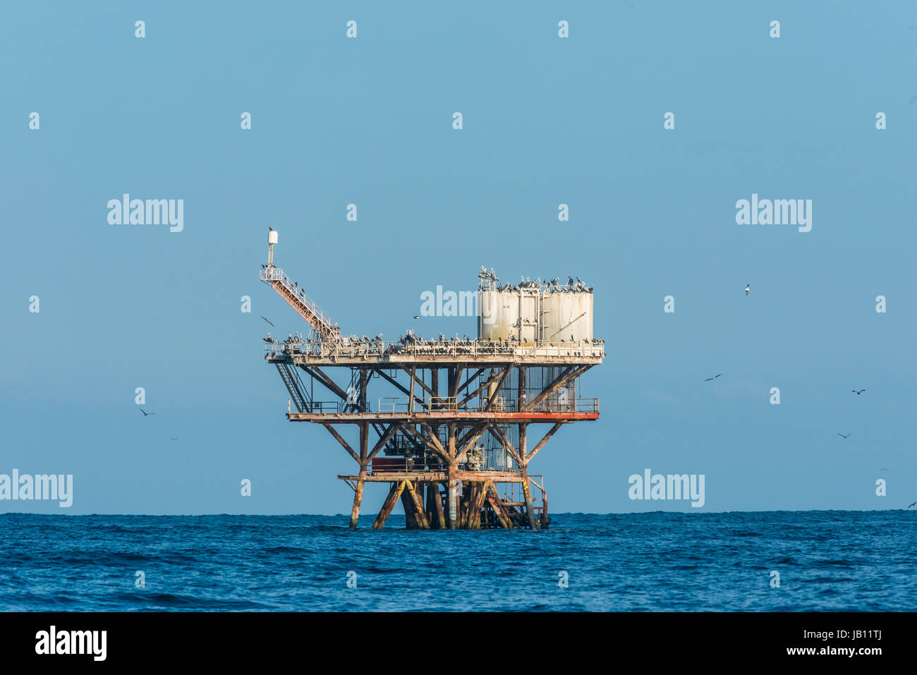 flock of birds in sea oil rig in the peruvian coast at Piura Peru Stock ...