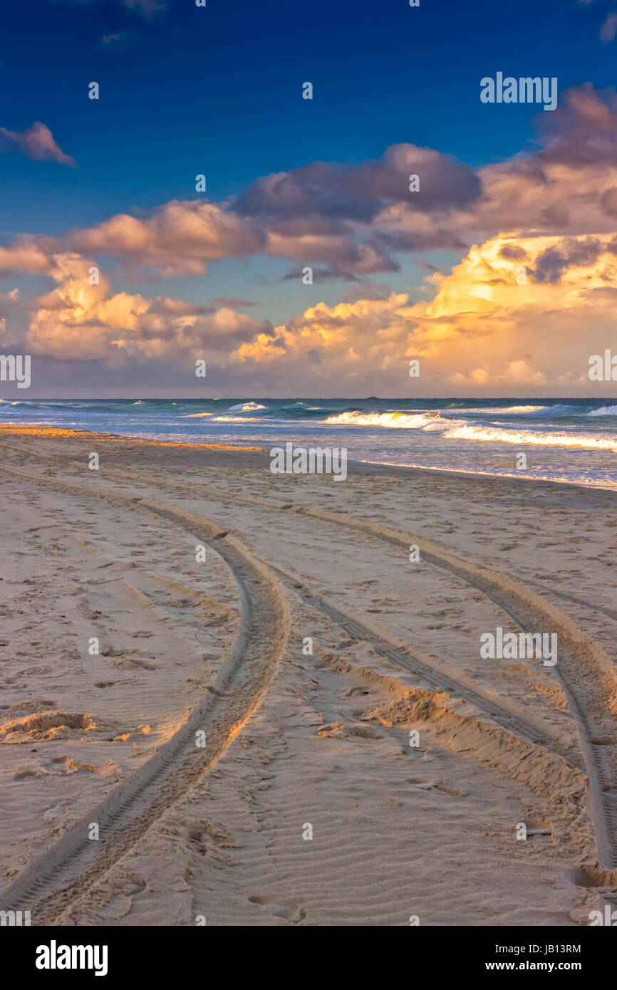 Lifeguard's buggy has left tracks on a beach in the city of Gold Coast ...