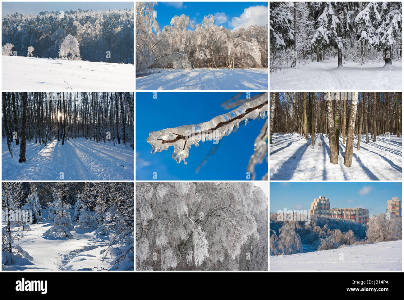 Nice photos of winter forest covered by white snow Stock Photo - Alamy