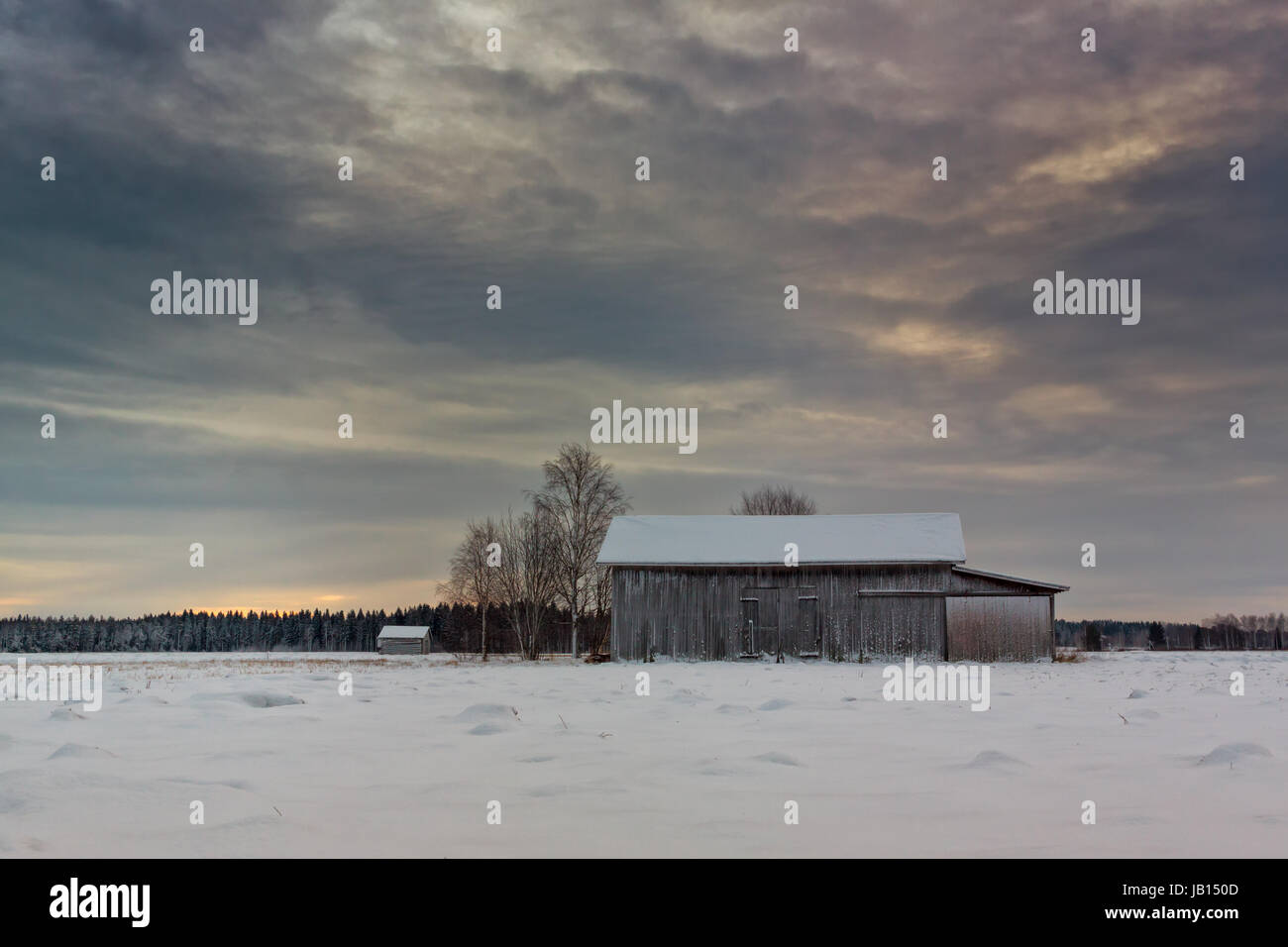 Old barn houses standing on the snowy fields of the rural Finland. The ...