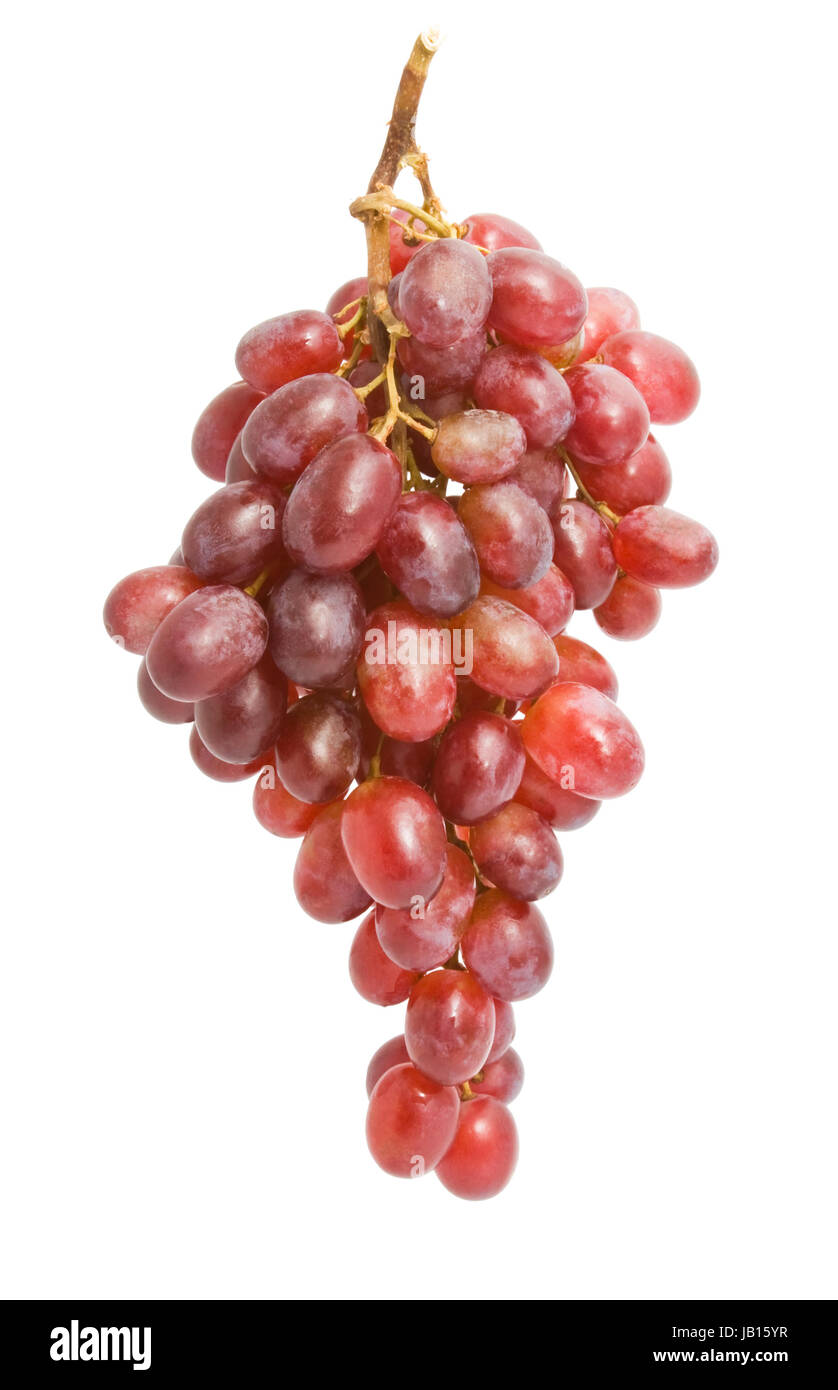 Branch of grapes isolated on white background Stock Photo - Alamy
