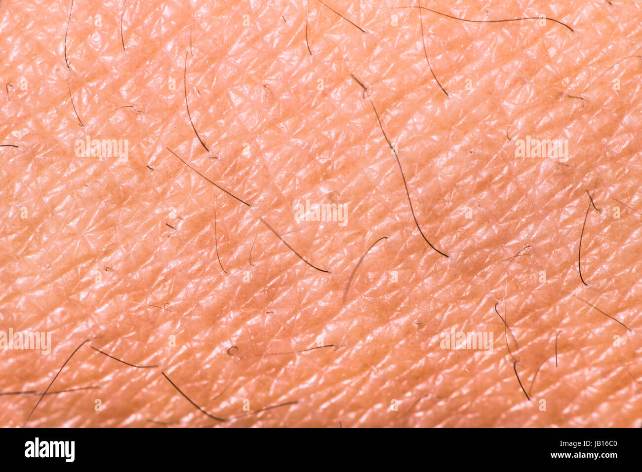 Texture of human skin. Extreme close up macro shot Stock Photo - Alamy