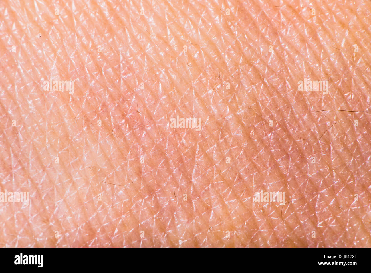 Texture of human skin. Extreme close up macro shot Stock Photo - Alamy