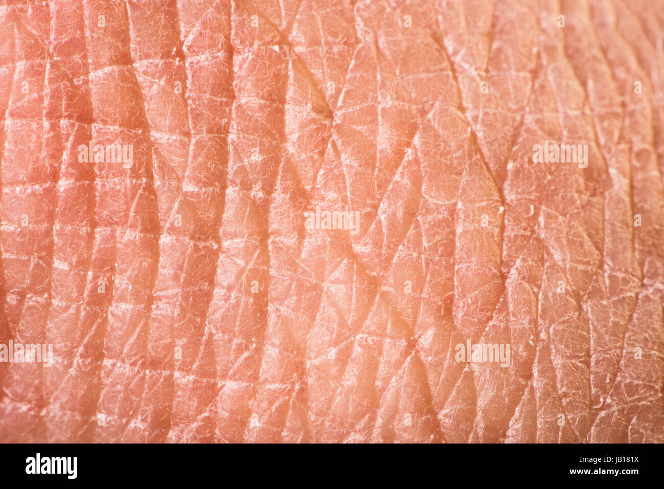 Texture of human skin. Extreme close up macro shot Stock Photo - Alamy