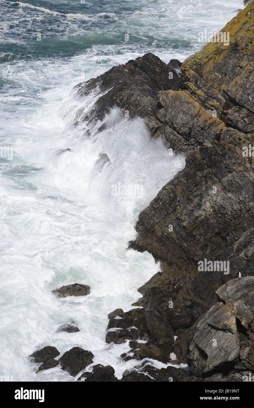 ile de groix, insel, Bretagne, frankreich, küste, ufer, felsen, rau ...