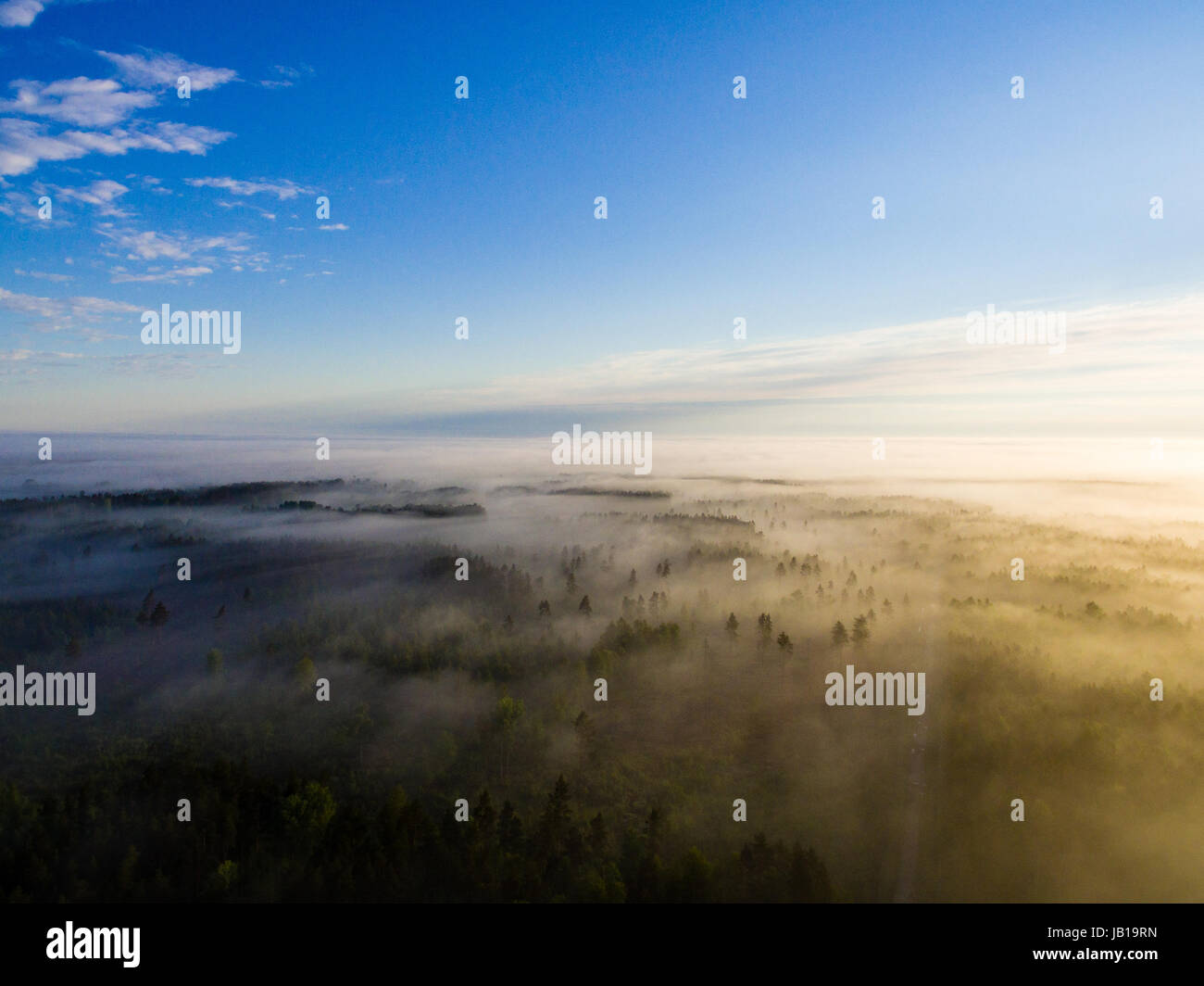 Aerial flight over morning wood hi-res stock photography and images - Alamy