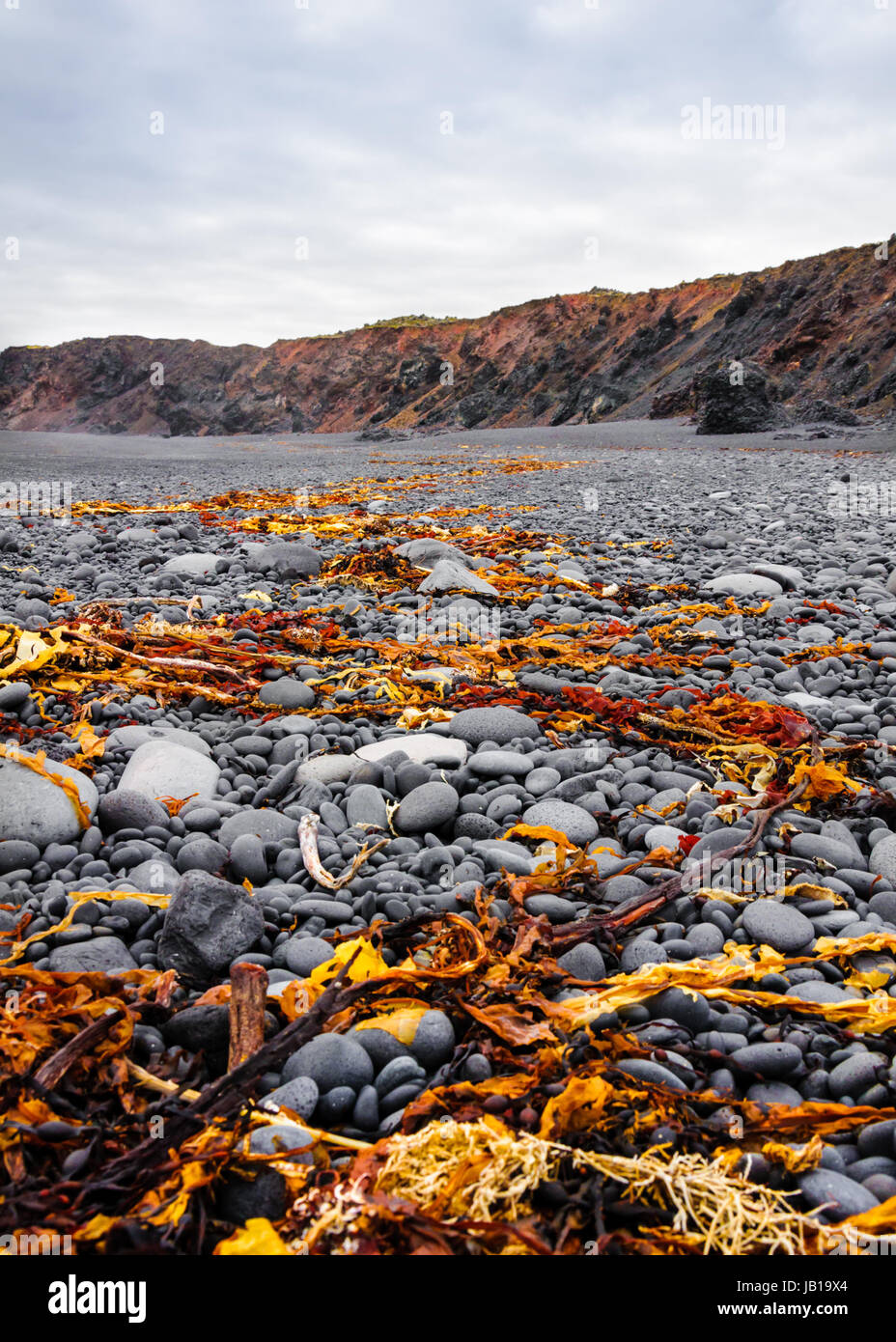 Icelandic beach with black lava rocks, Snaefellsnes peninsula, Iceland ...