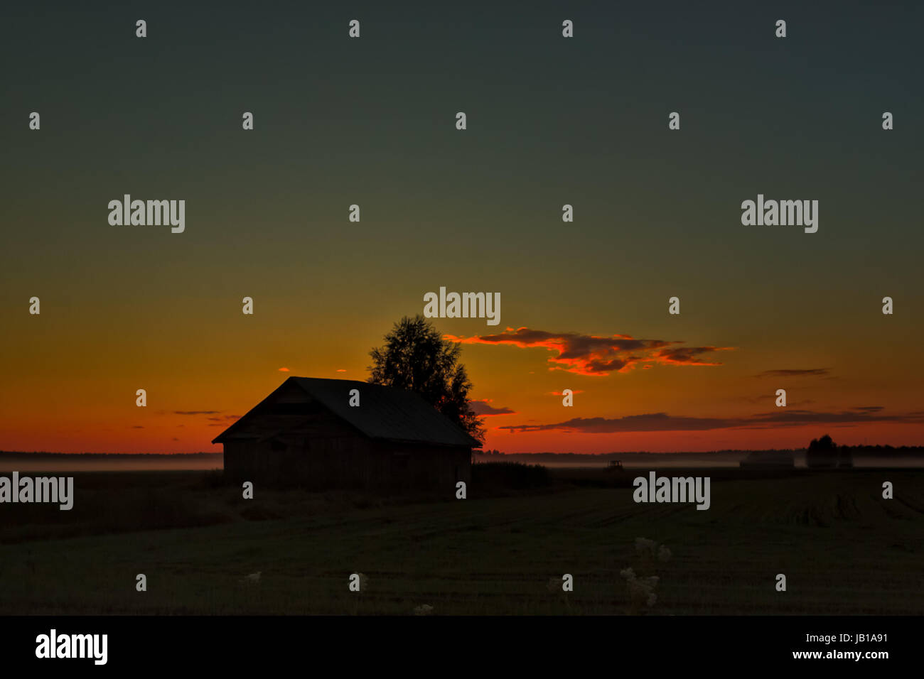 The setting sun colors the clouds golden on a summer night in the ...