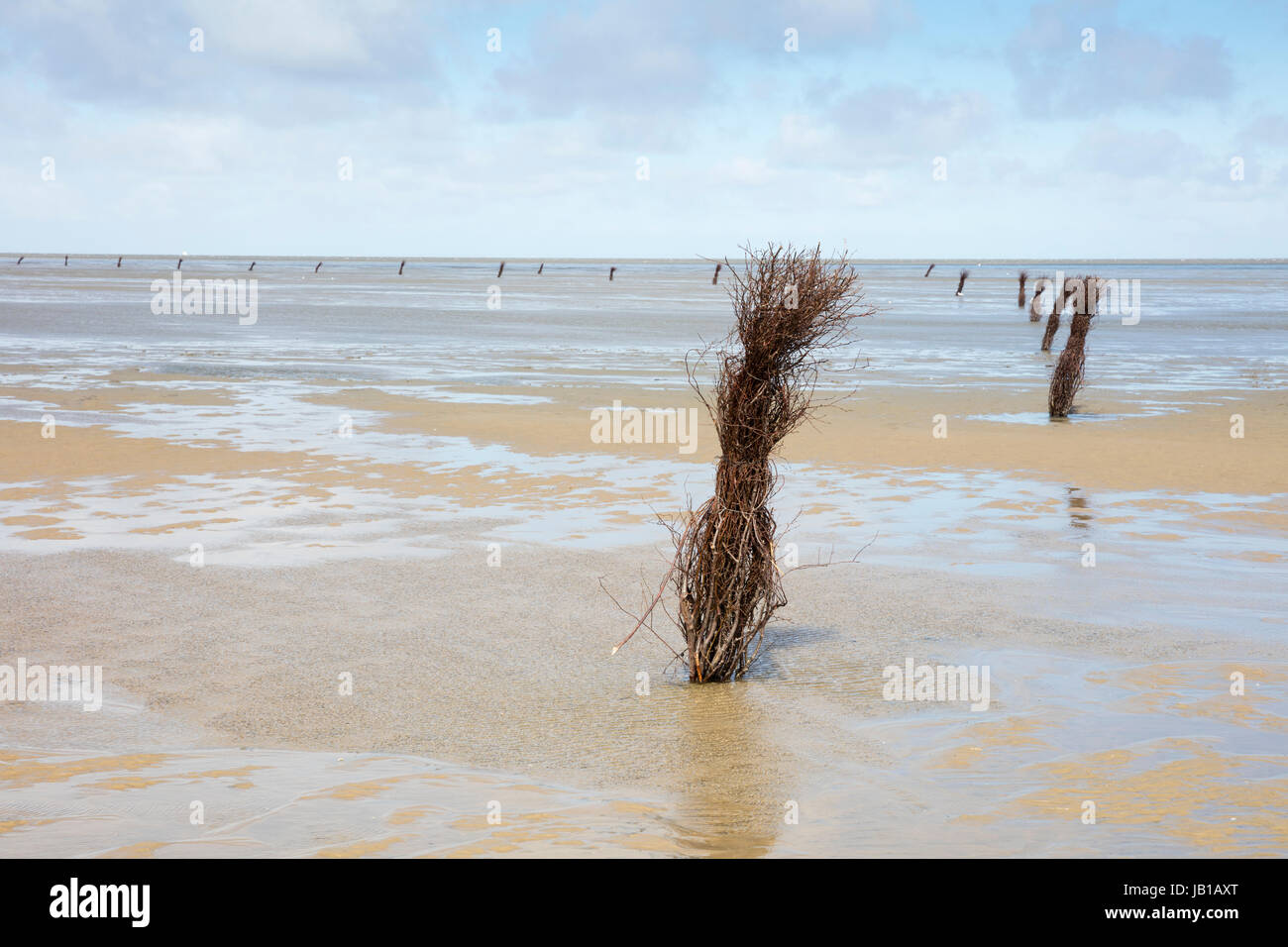 Markings in the Watt, Lower Saxon Wadden Sea National Park, Cuxhaven ...