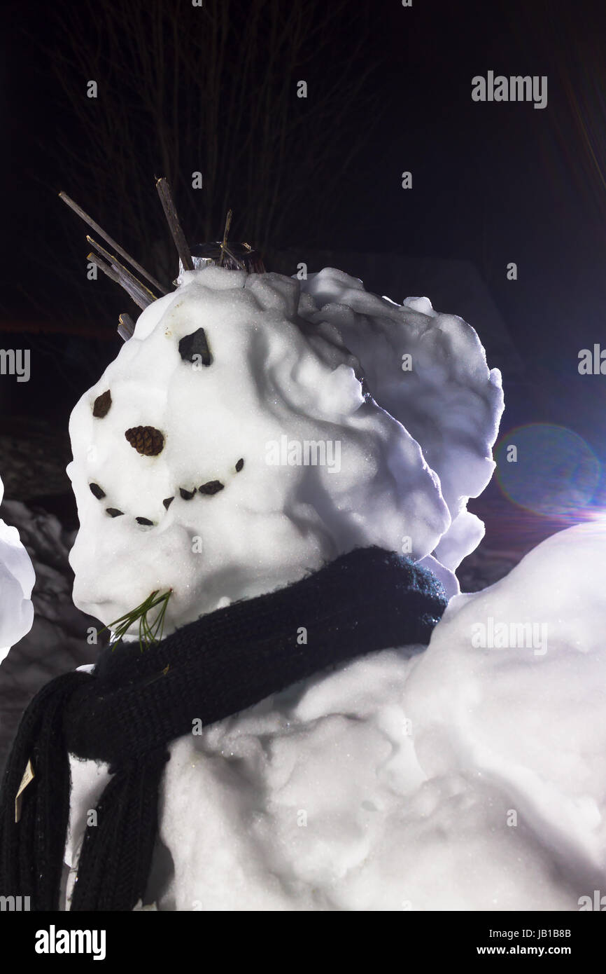 The kids built a family of snowmen on the yard. This one has a pretty ...