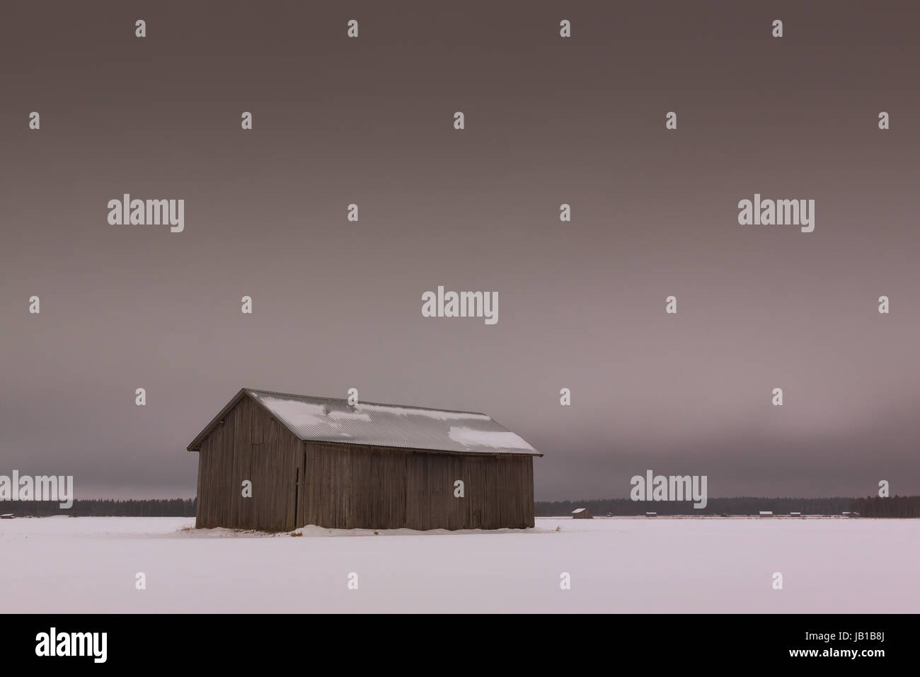 The winter days can be very grey in the Northern Finland. You can't see ...