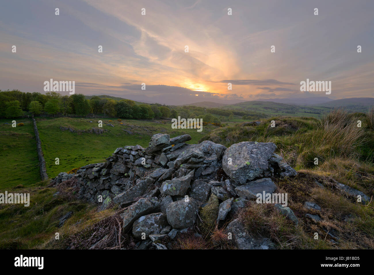 Photgraph hi-res stock photography and images - Alamy