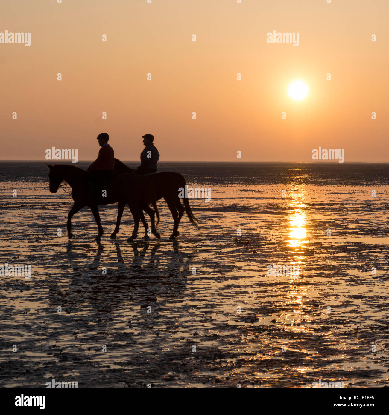 Riders at sunset in the mudflat, Lower Saxon Wadden Sea National Park ...