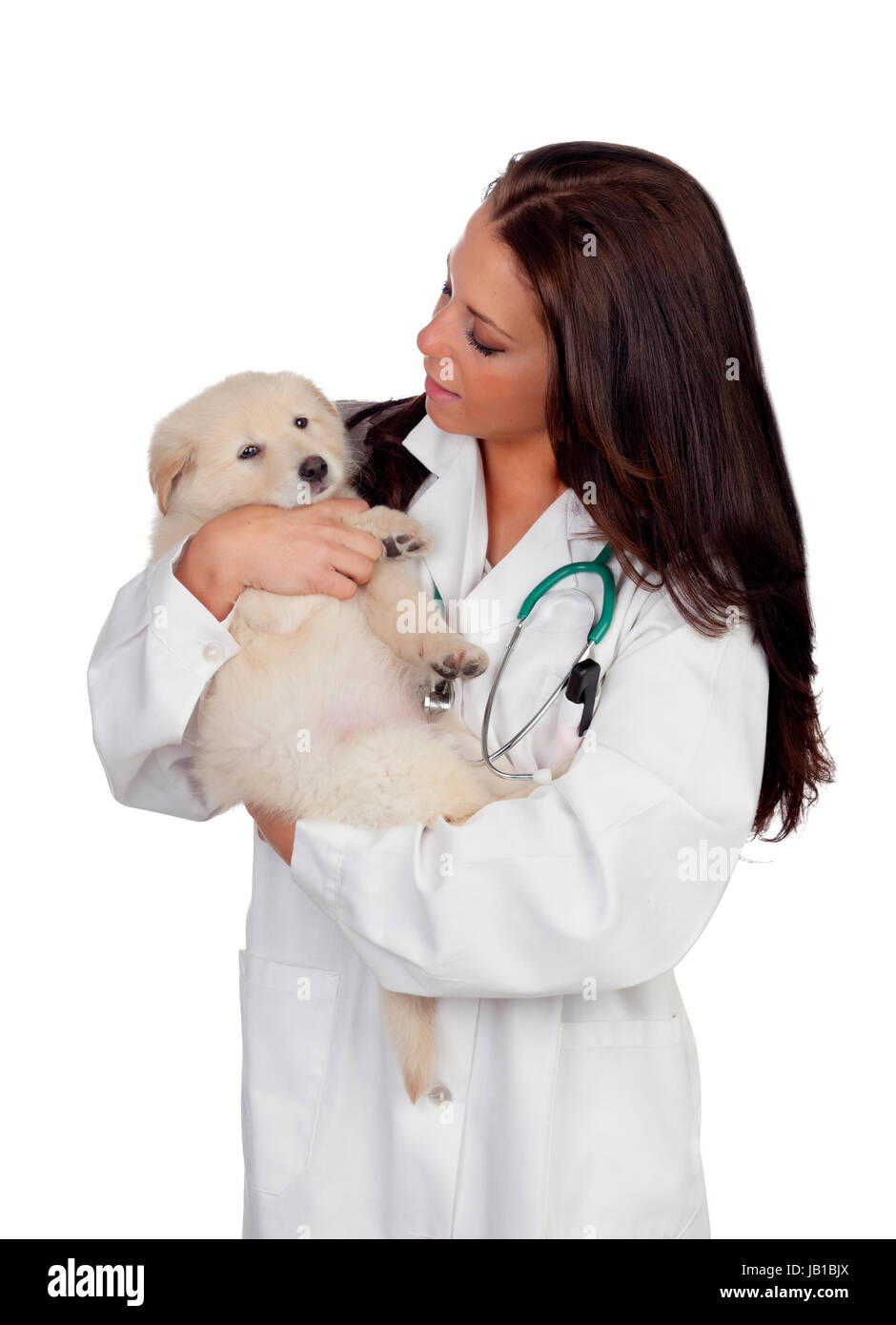 Pretty vet with a cute puppy isolated on white background Stock Photo ...