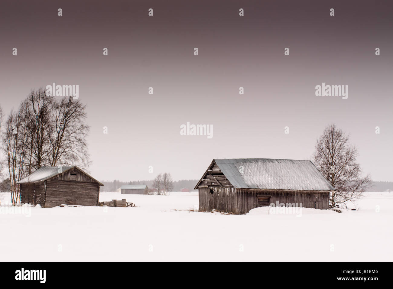 Very sad sight at the rural Finland. Abandoned barn houses wait for ...