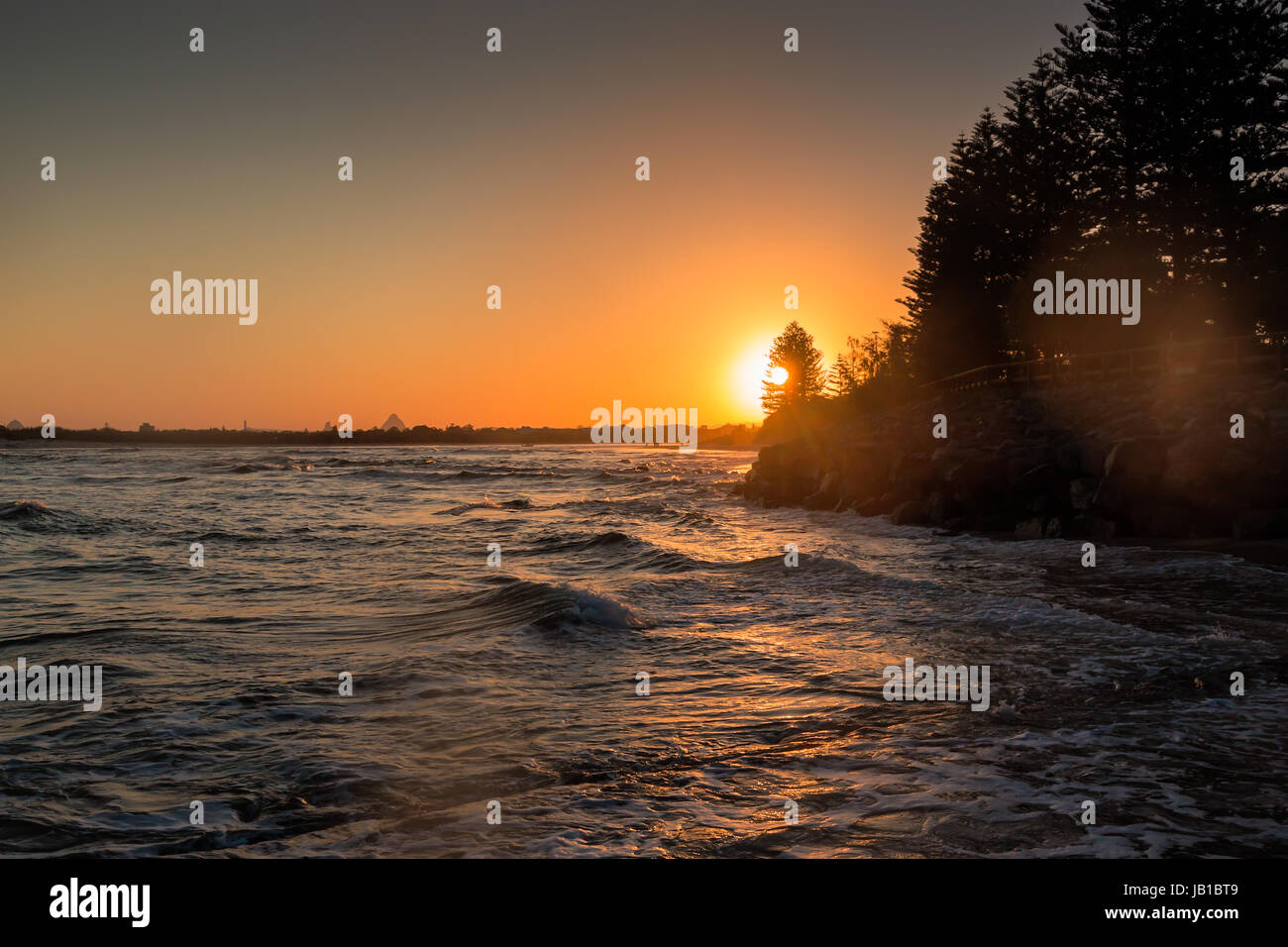 The sun sets behind the pandana trees on a beach in Caloundra ...