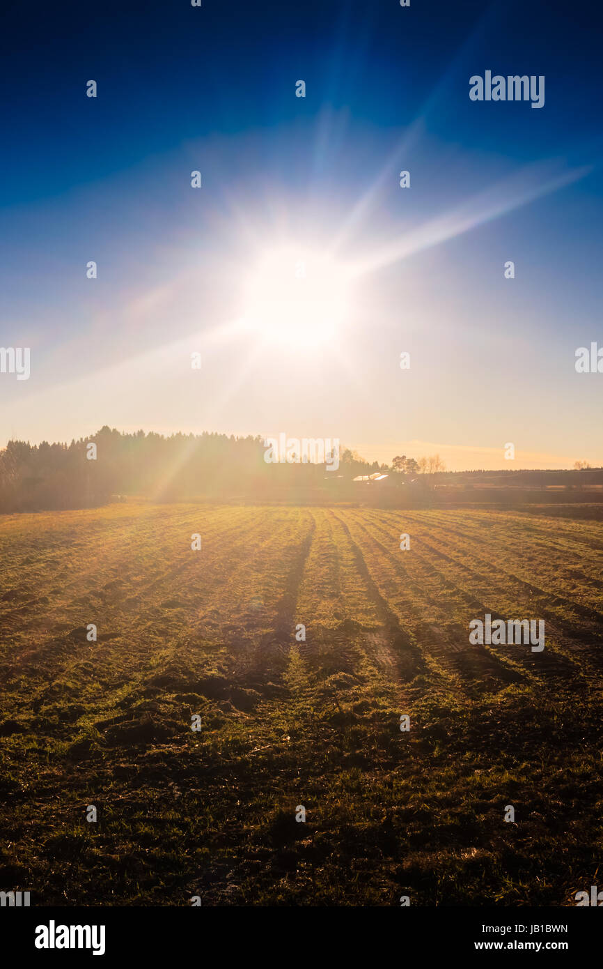 The sun shines bright on the potato fields in the rural Finland. It's ...