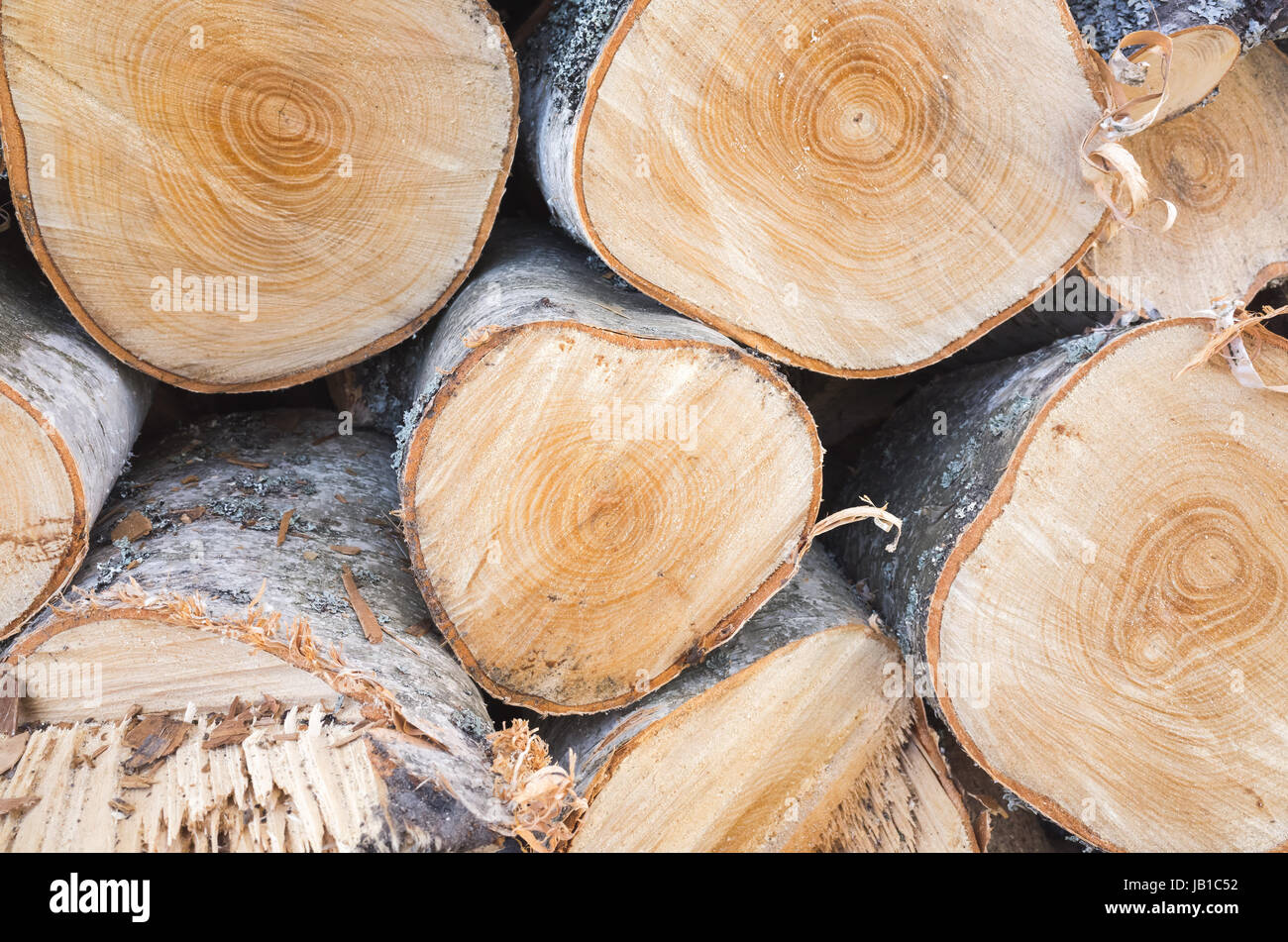 Stack of firewood, round birch chunks, closeup photo Stock Photo - Alamy