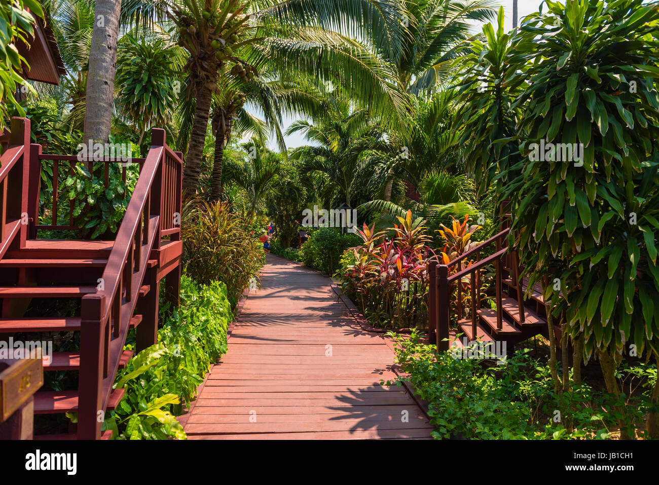 A red boardwalk pathway through a lush green garden Stock Photo - Alamy