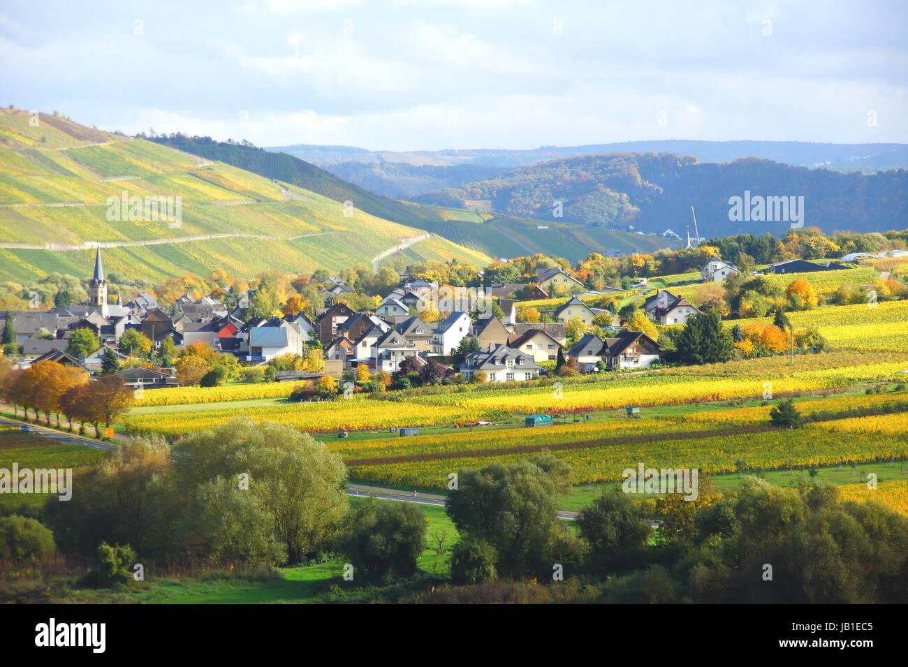 Erden an der Mosel im Herbst Stock Photo - Alamy