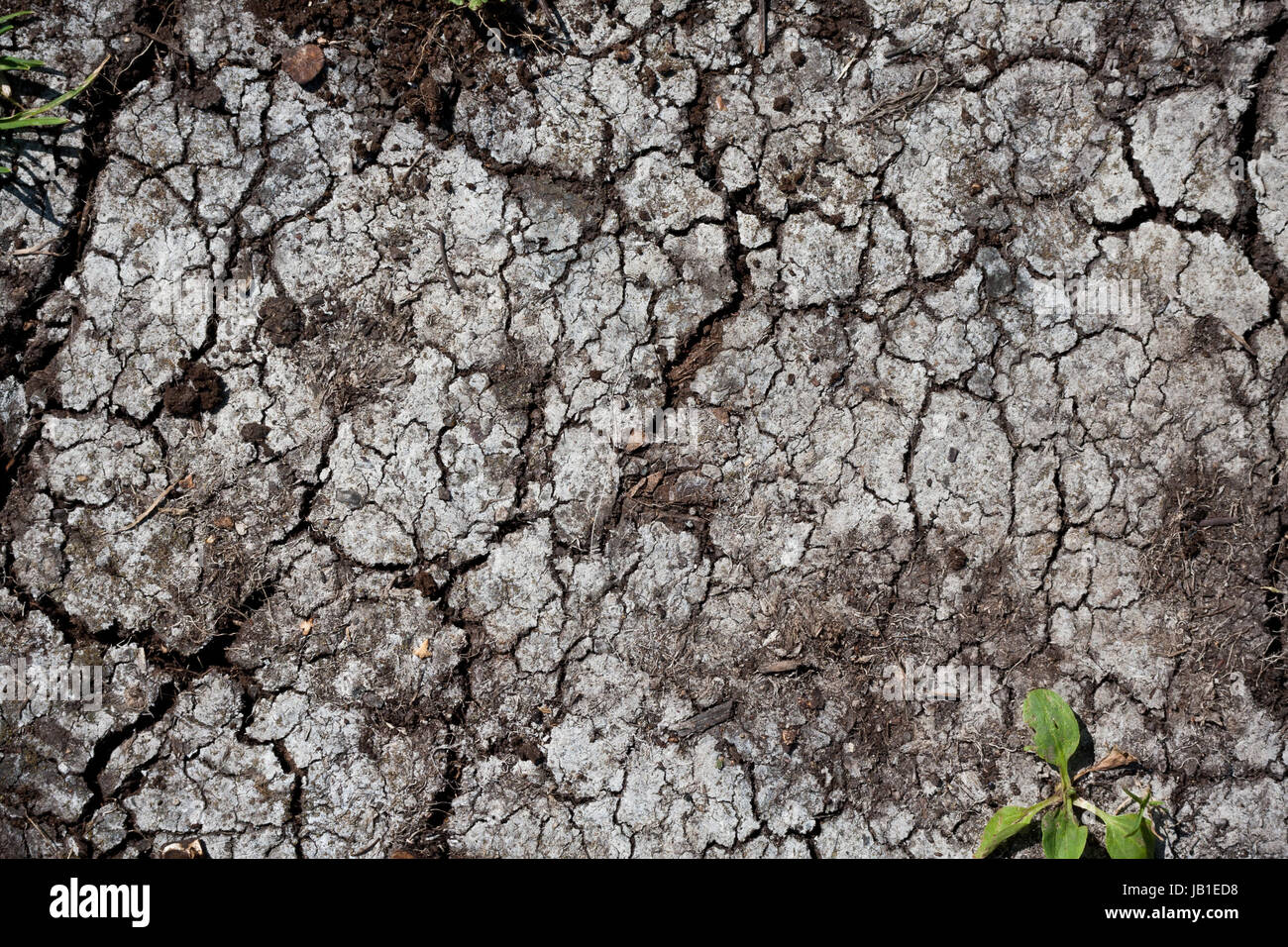 Land with dry cracked ground texture background Stock Photo - Alamy