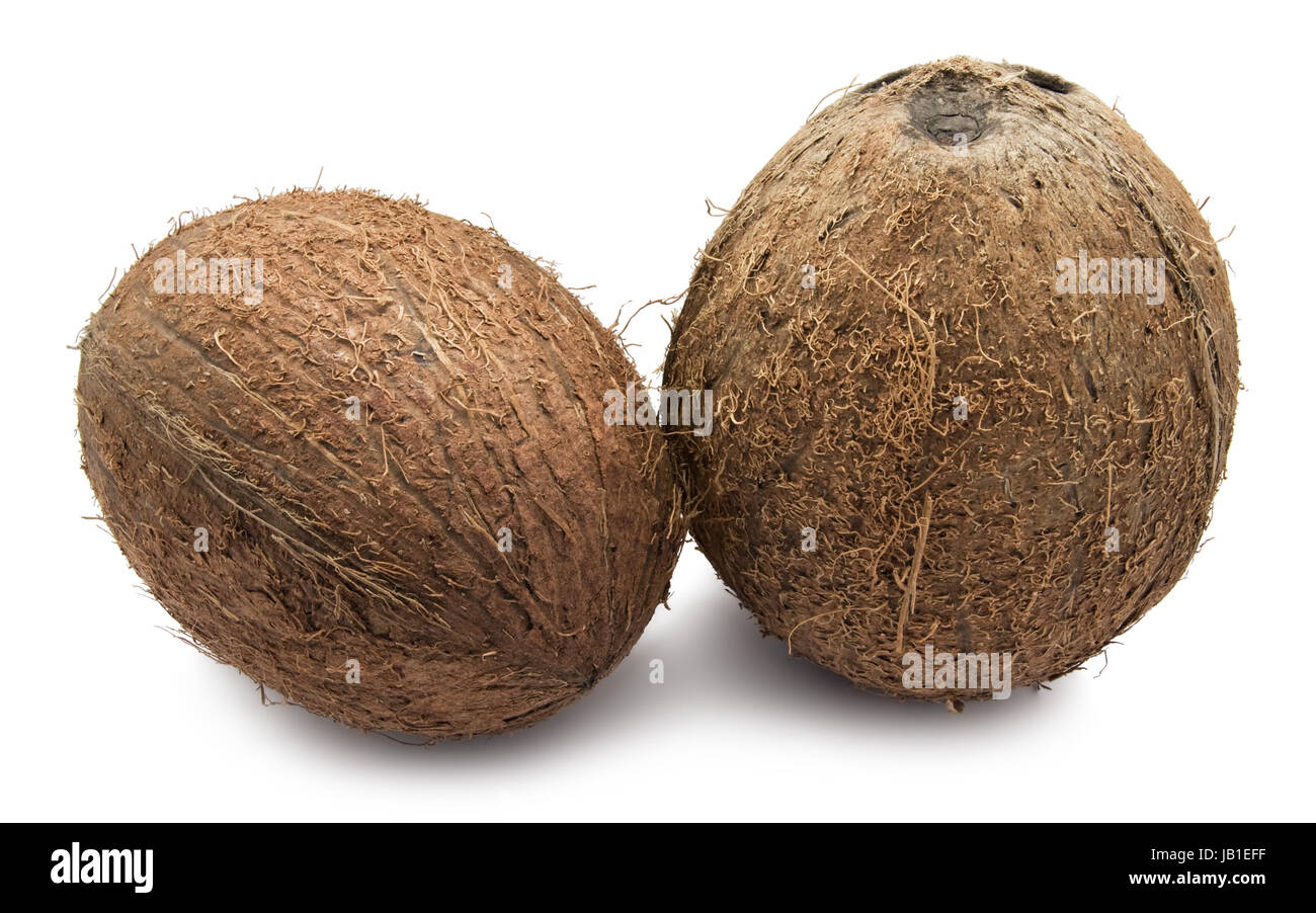 Perfect fresh coconut isolated on white background Stock Photo - Alamy