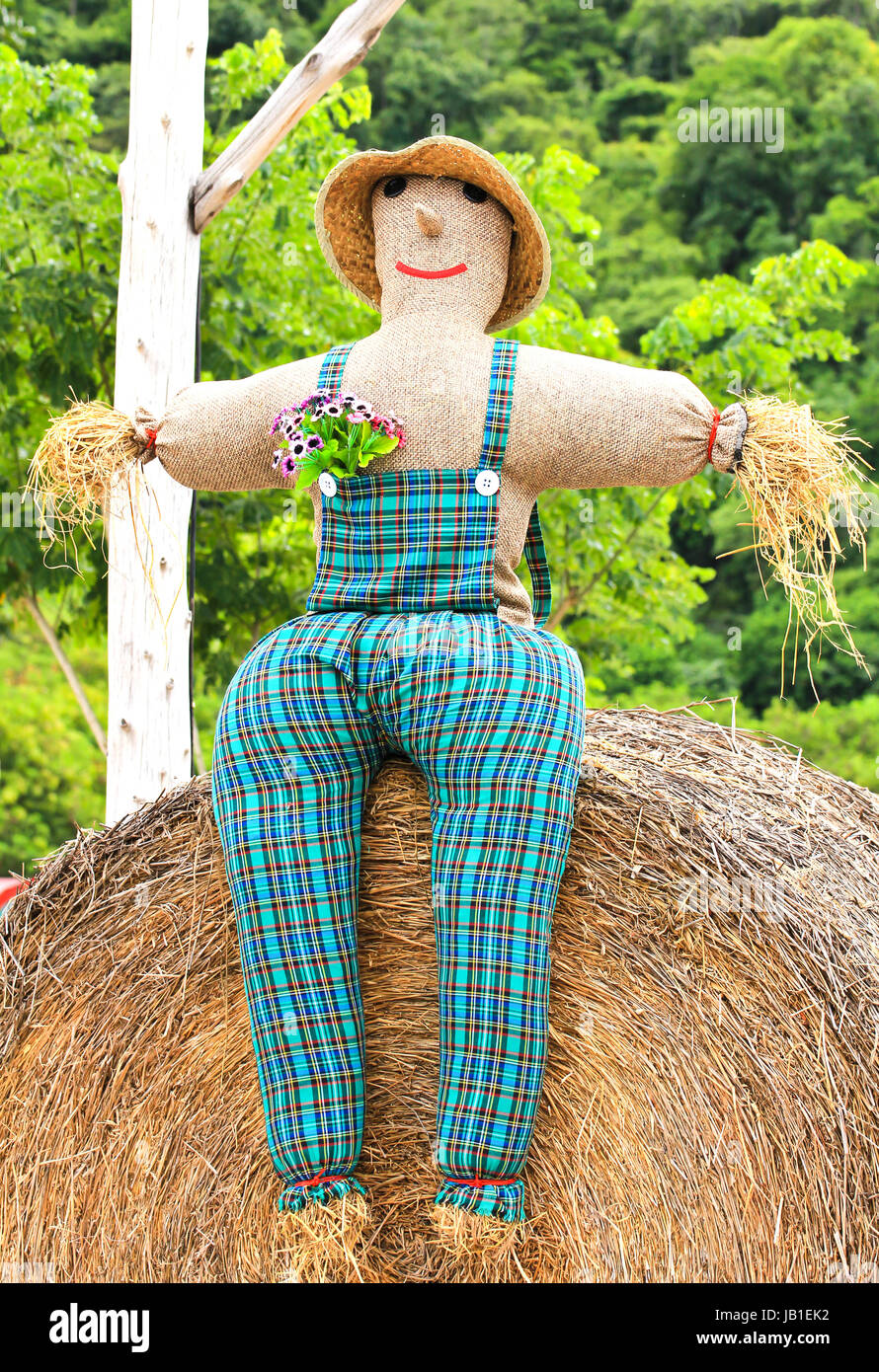Colorful scarecrow is dressed in clothes at garden Stock Photo - Alamy