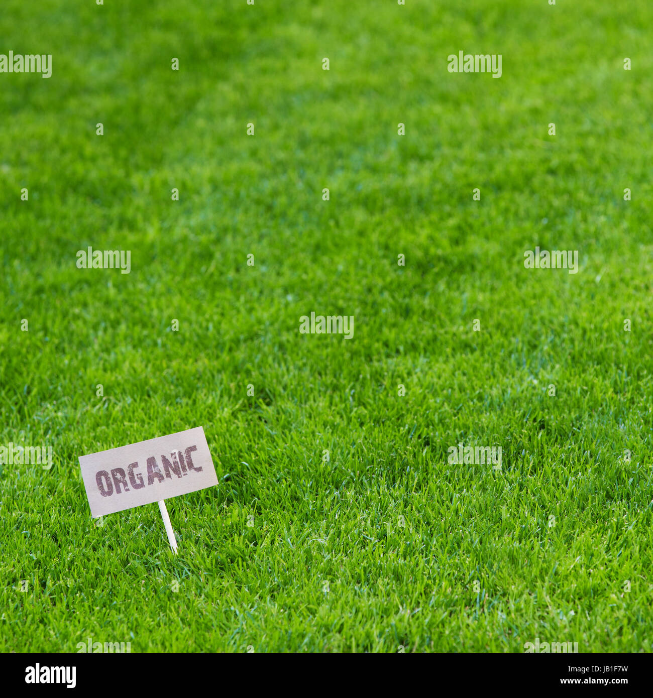 Background of neatly cut fresh lush green spring or summer grass with ...