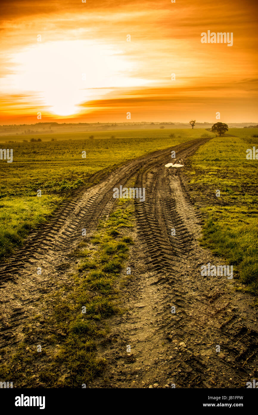 Heavy tyre tracks in a field at sunset. Cambridgeshire, Uk Stock Photo ...