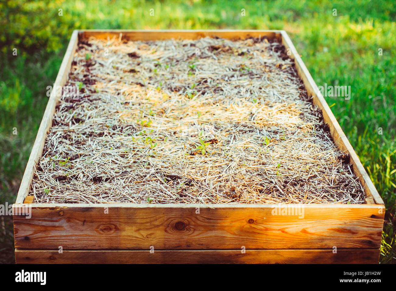 Garden, planting, garden bed high Stock Photo - Alamy