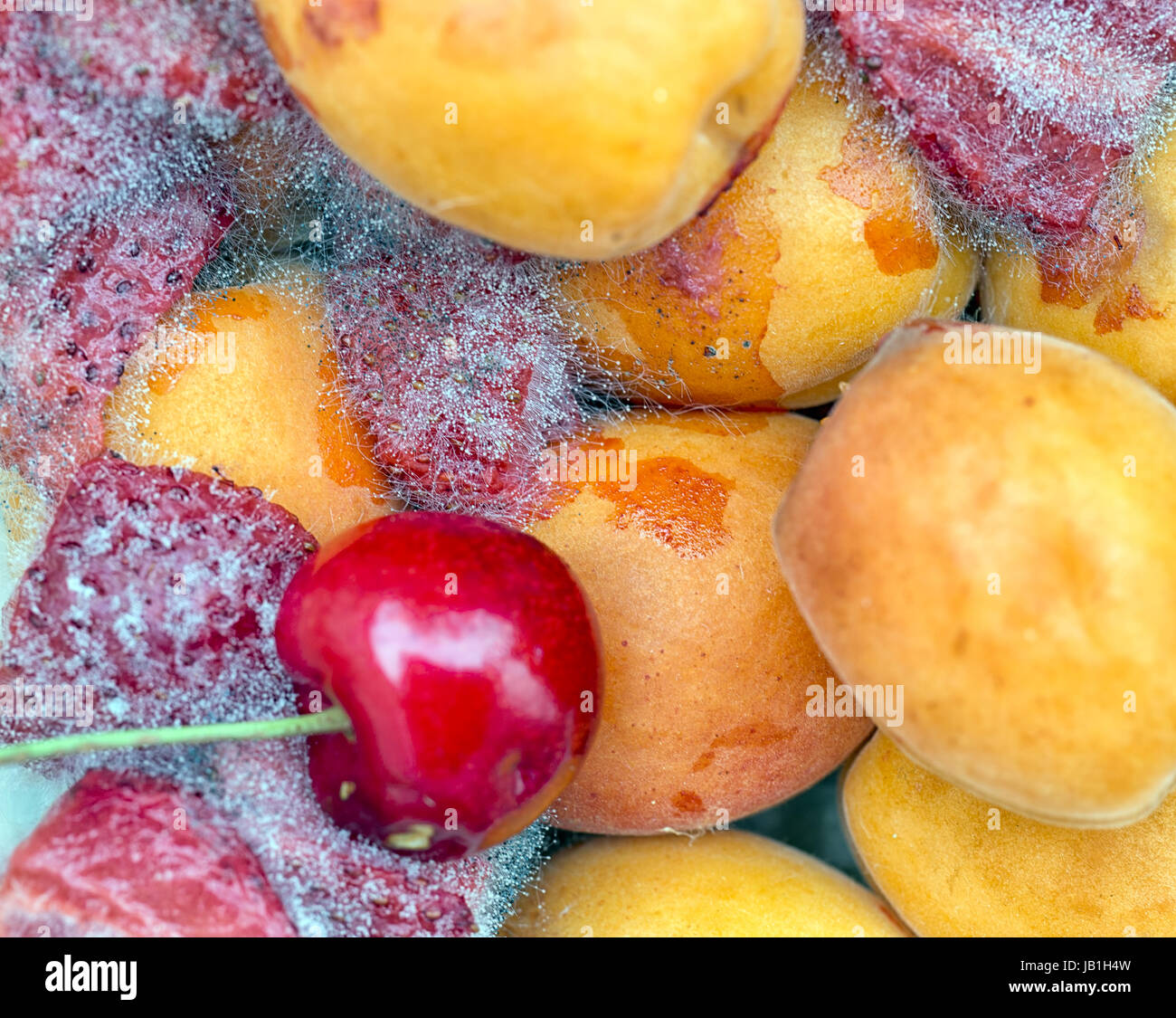 Wasteful hi-res stock photography and images - Alamy