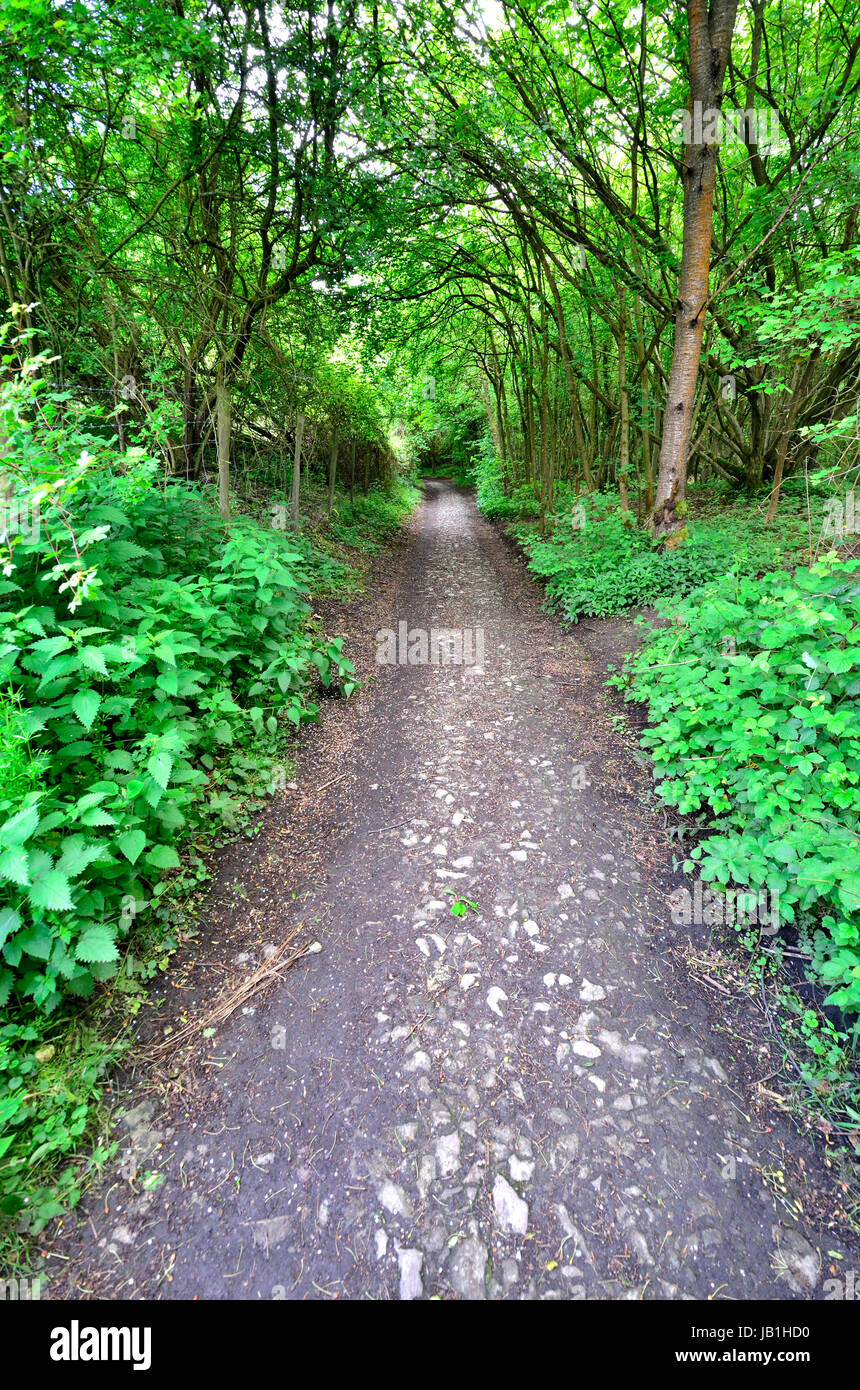 Well maintained footpath hi-res stock photography and images - Alamy