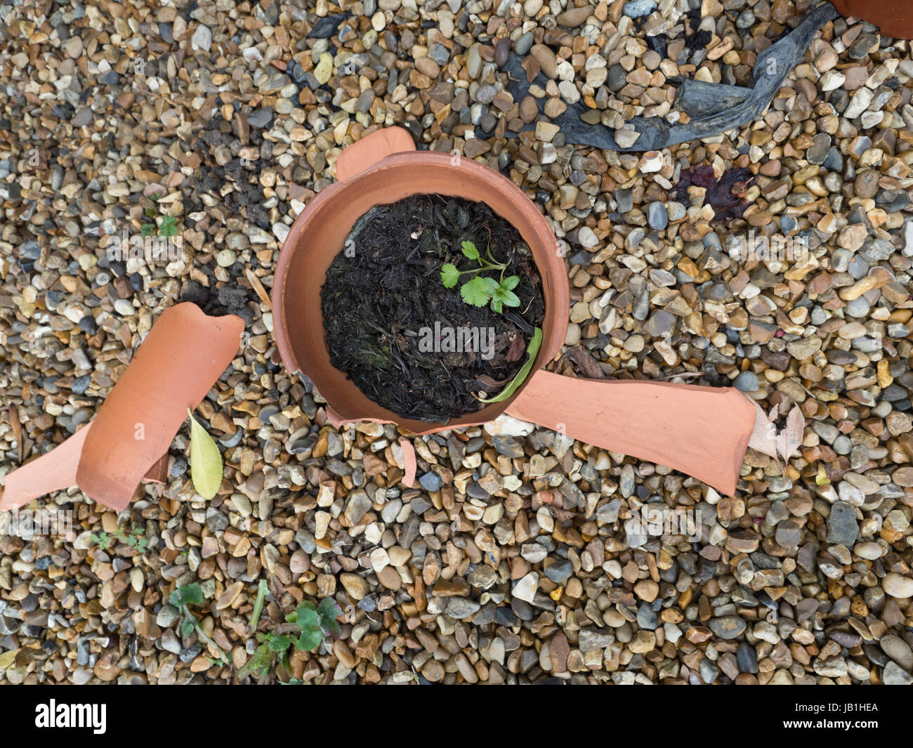 Cracked flower pot hi-res stock photography and images - Alamy
