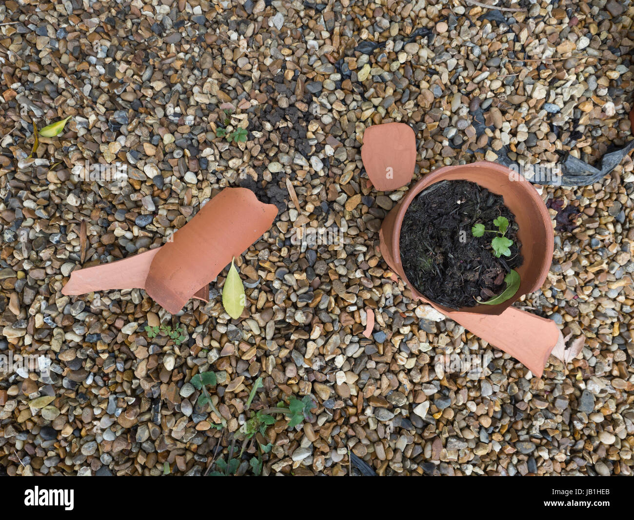 Cracked pot hi-res stock photography and images - Alamy