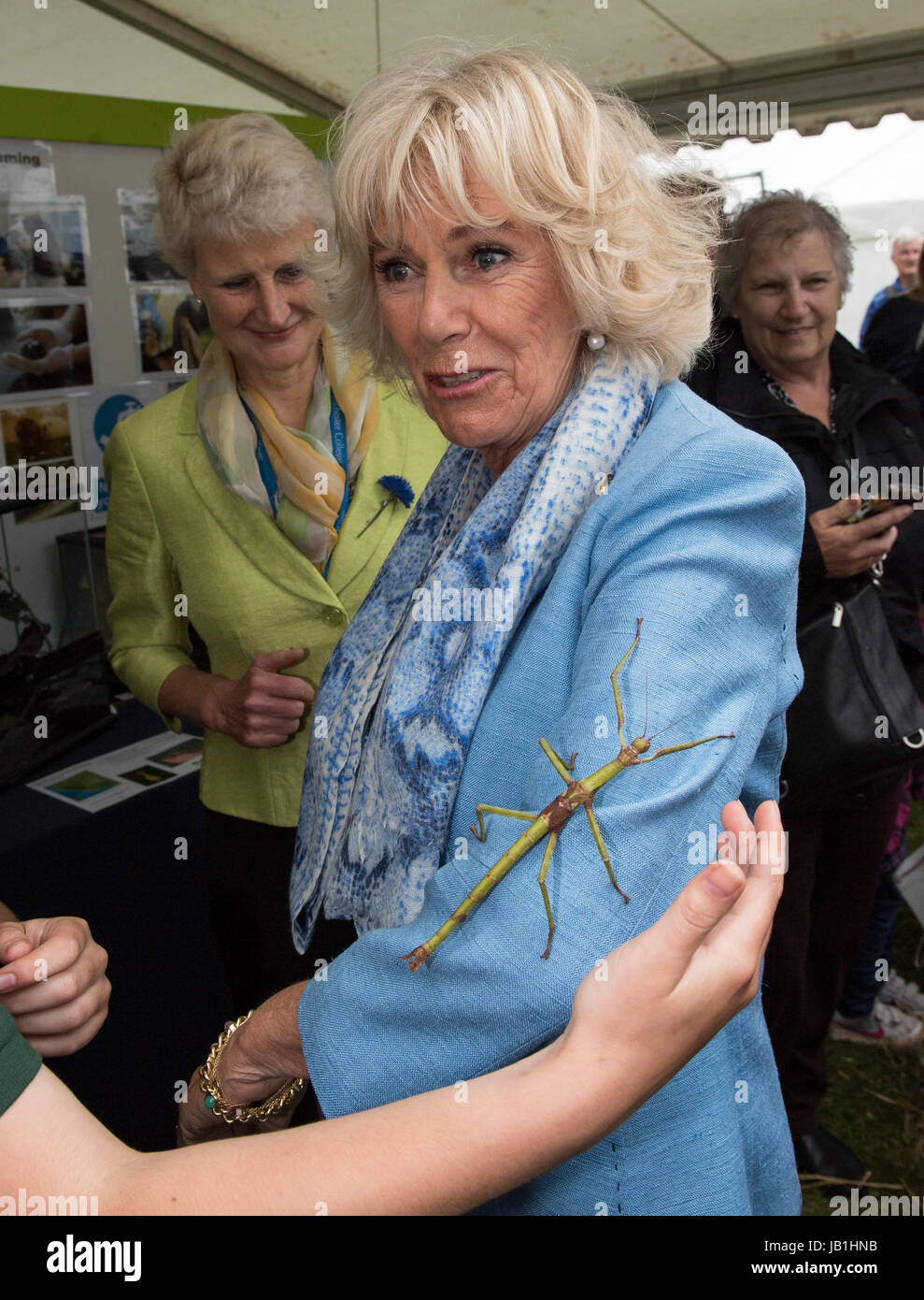 The Duchess of Cornwall meets a Giant Stick Insect when she visited the ...