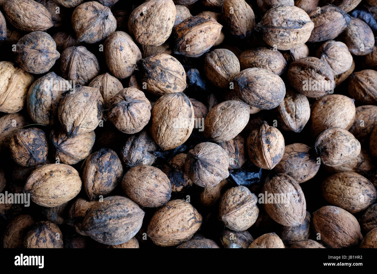Cleaned walnuts hi-res stock photography and images - Alamy