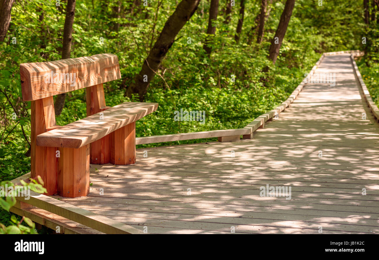 Wooden bench on wooden walkway. Play of light on ground and furniture ...