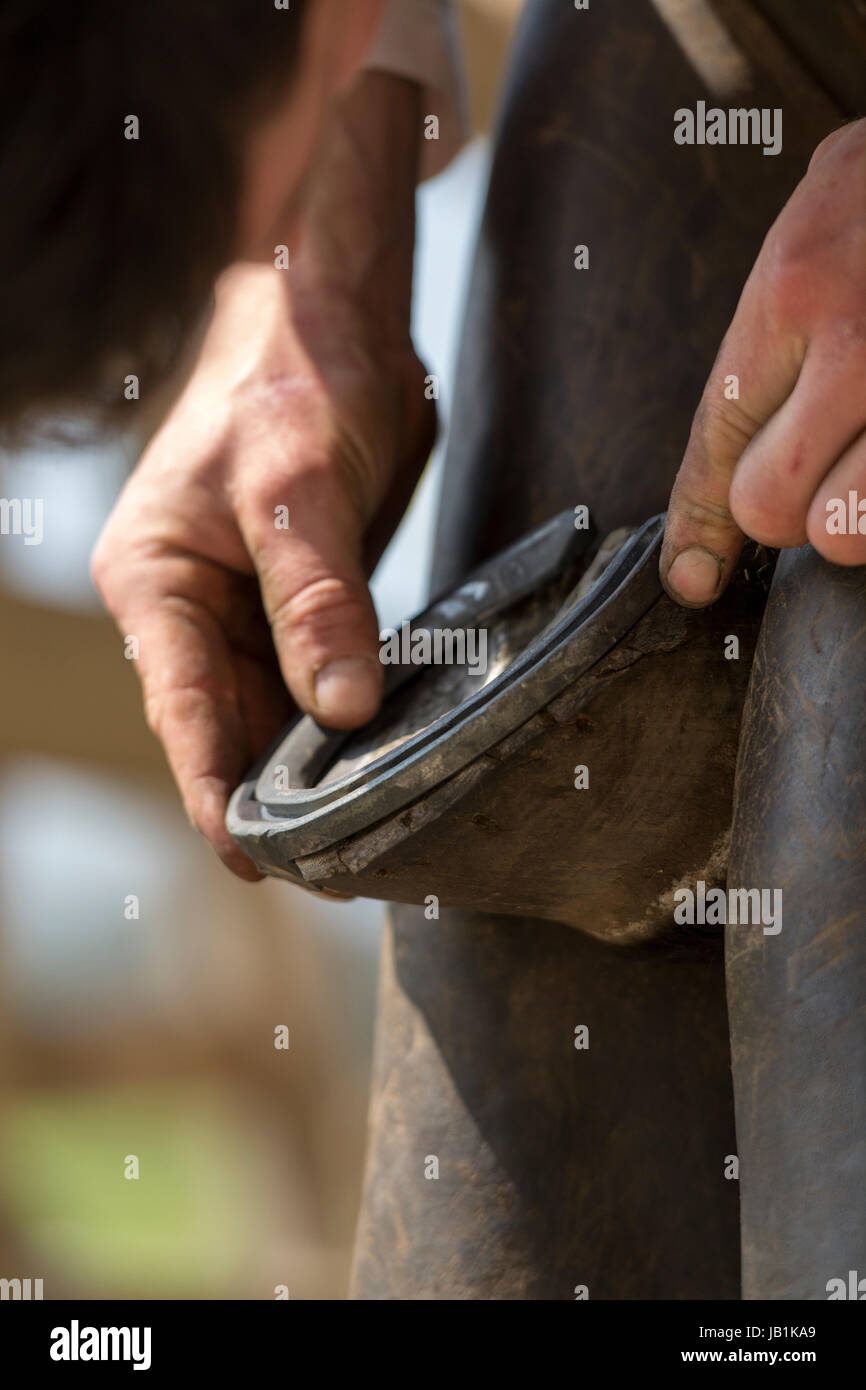 Shoeing Smith Stock Photos & Shoeing Smith Stock Images - Alamy