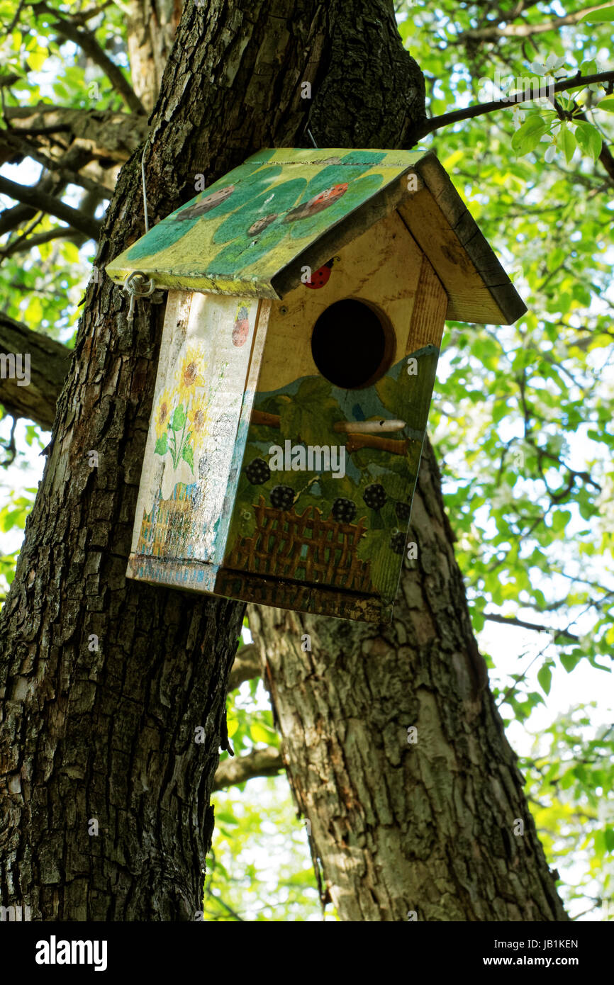 Photo old bird houses Stock Photo - Alamy