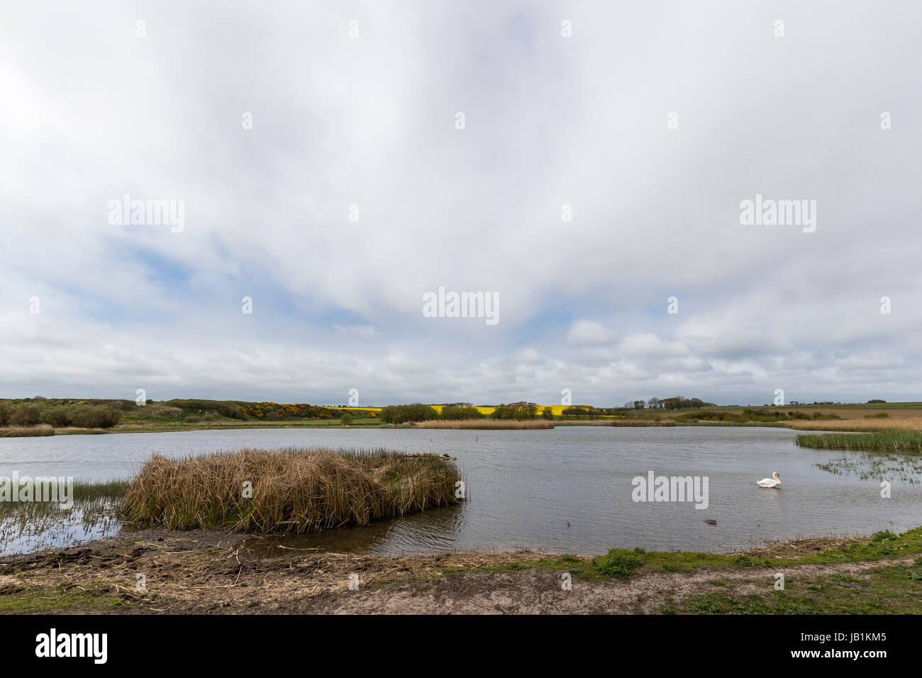 Low Newton pools, Low Newton by the Sea, Northumberland, UK Stock Photo ...