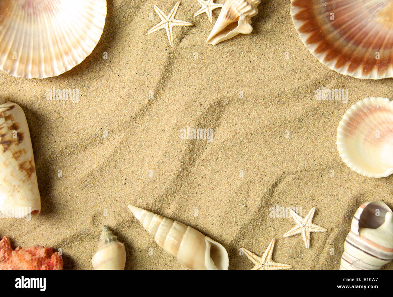 Sea shells border on beach sand Stock Photo - Alamy