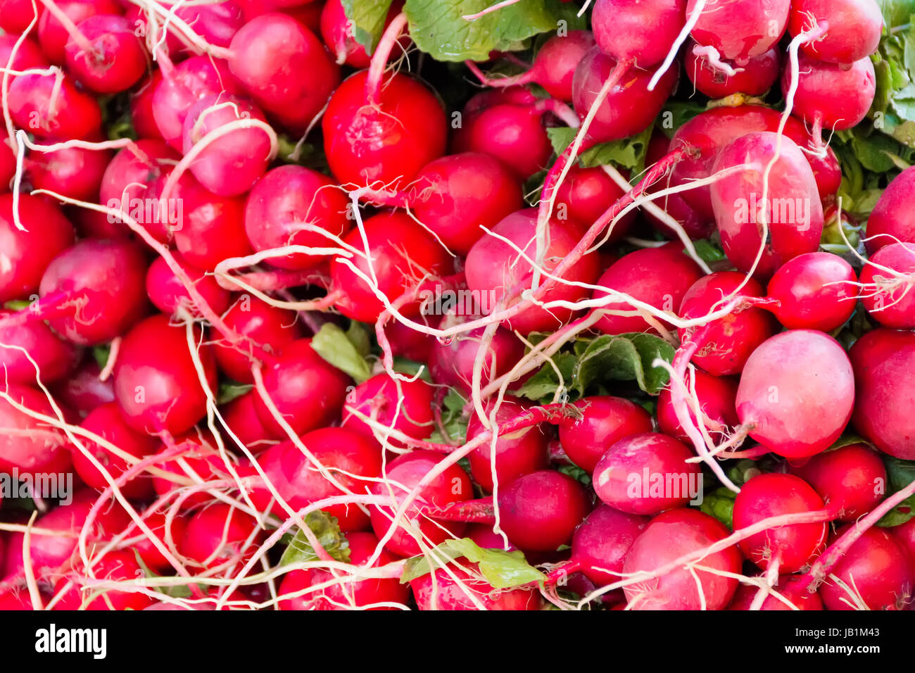 Photo of background with fresh red radish Stock Photo - Alamy