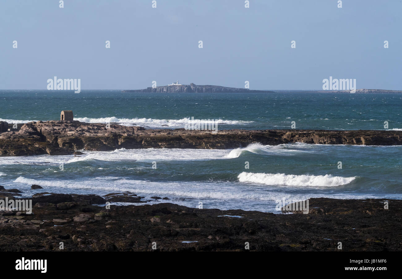 North Sunderland Point, Northumberland Stock Photo - Alamy