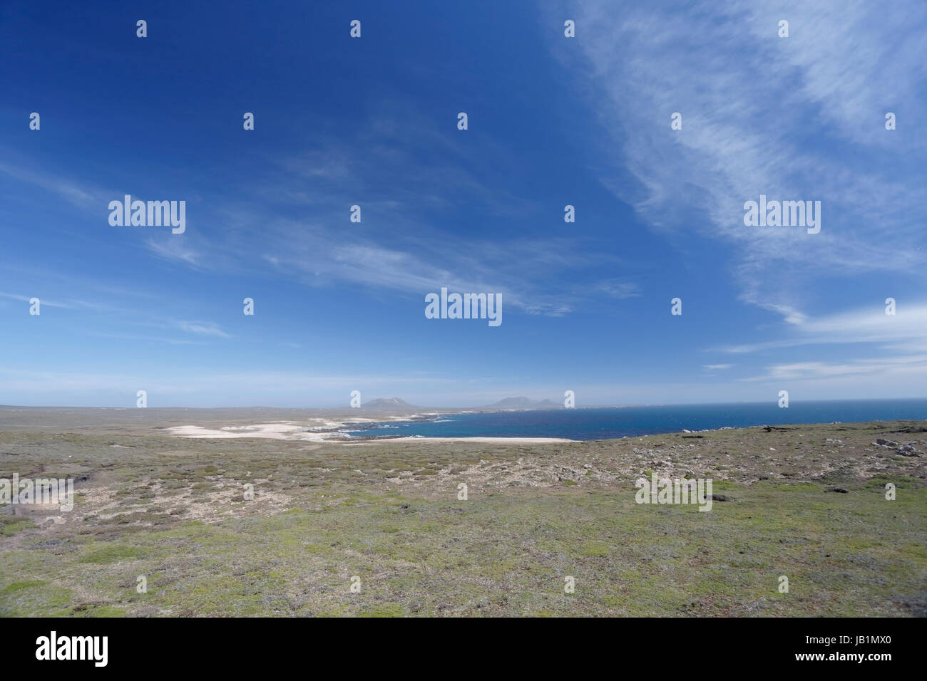 view over Pebble Island, Falkland Islands Stock Photo - Alamy