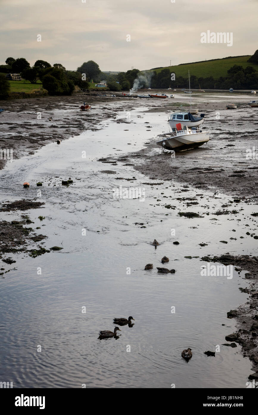Frogmore hi-res stock photography and images - Alamy