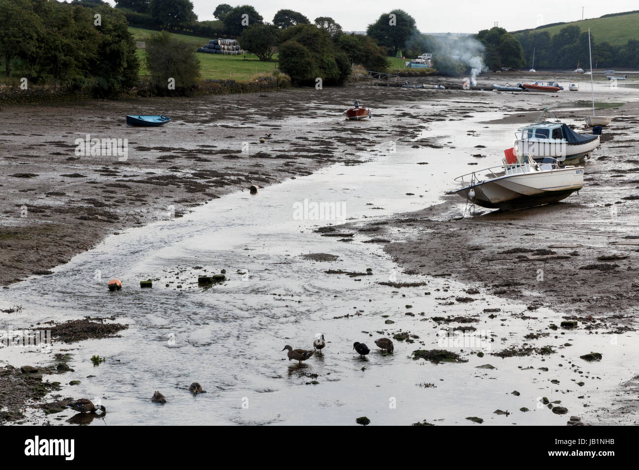 Low tide at Frogmore, South Devon Stock Photo - Alamy