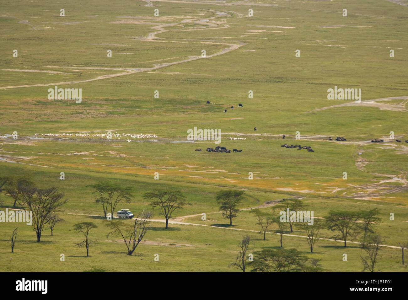 Kenya aerial view of lake nakuru with flamingos hi-res stock ...
