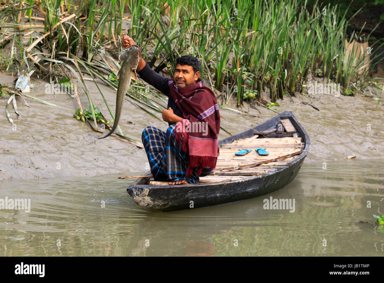 A fisherman shows his catches on the Chitra River. Narail, Bangladesh Stock Photo - Alamy
