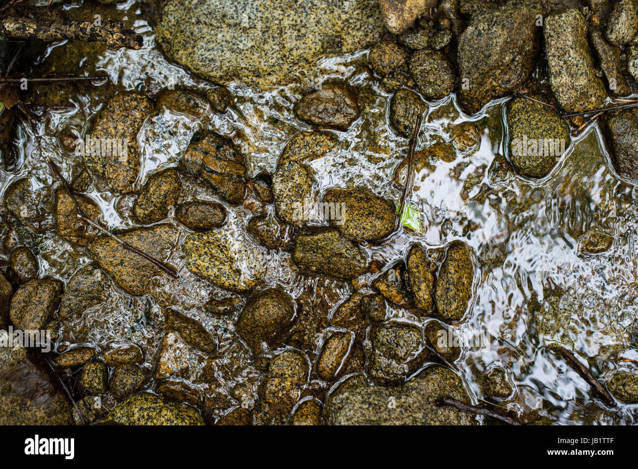 Stones and rocks under stream water Stock Photo - Alamy