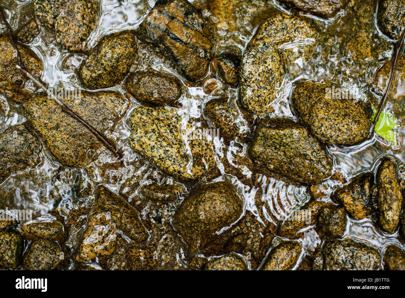 Stones and rocks under stream water Stock Photo - Alamy